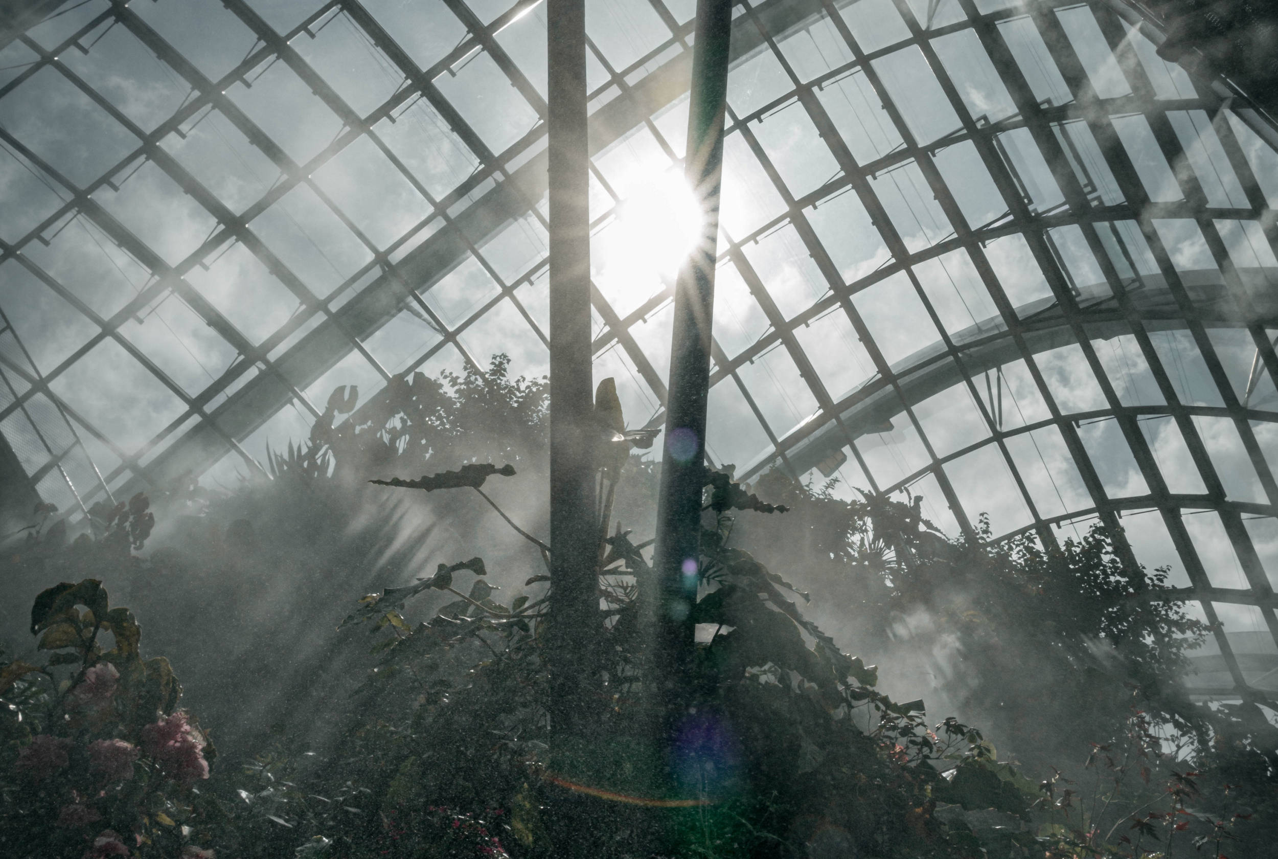 Biodiversity and financial markets | Pictet Asset Management Japan