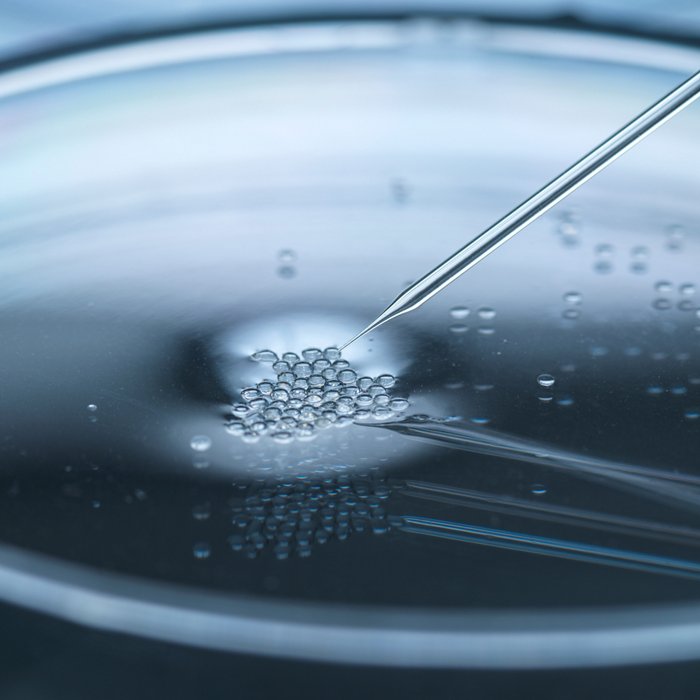 Pictet Asset Management Luxembourg | Funds, expertise and insights ...