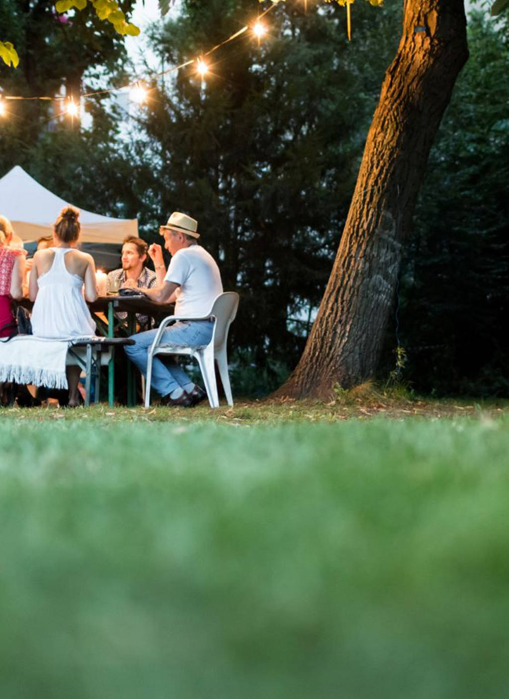 Succession sans enfants : à qui revient l’héritage ? | Terre d'épargne ...