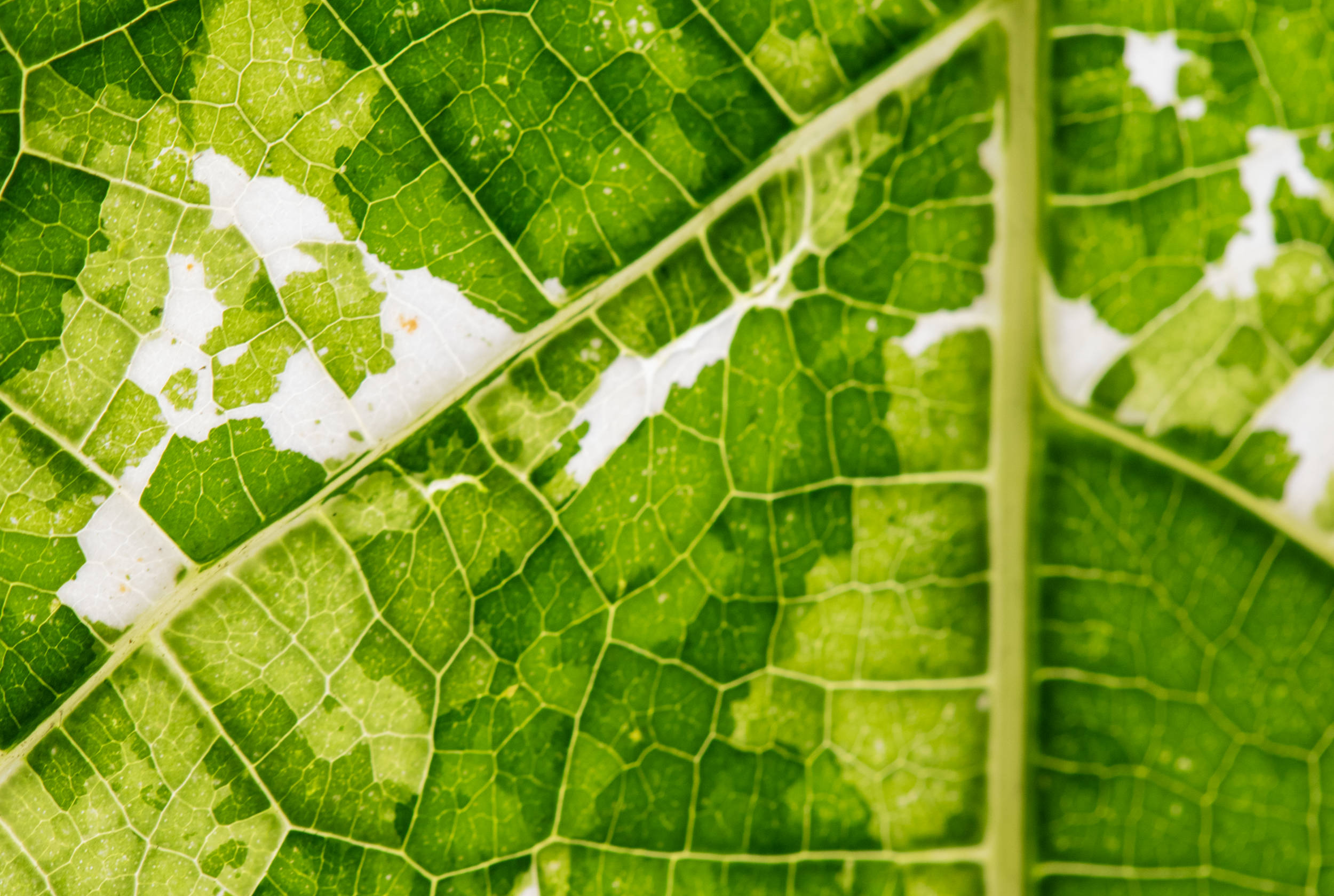 What makes thematic equities sound long-term investments? | Pictet ...