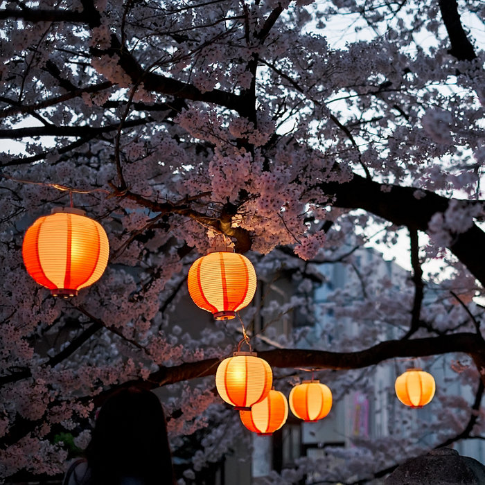 Pictet - Emerging Markets | LU0131725870 | Pictet Asset Management