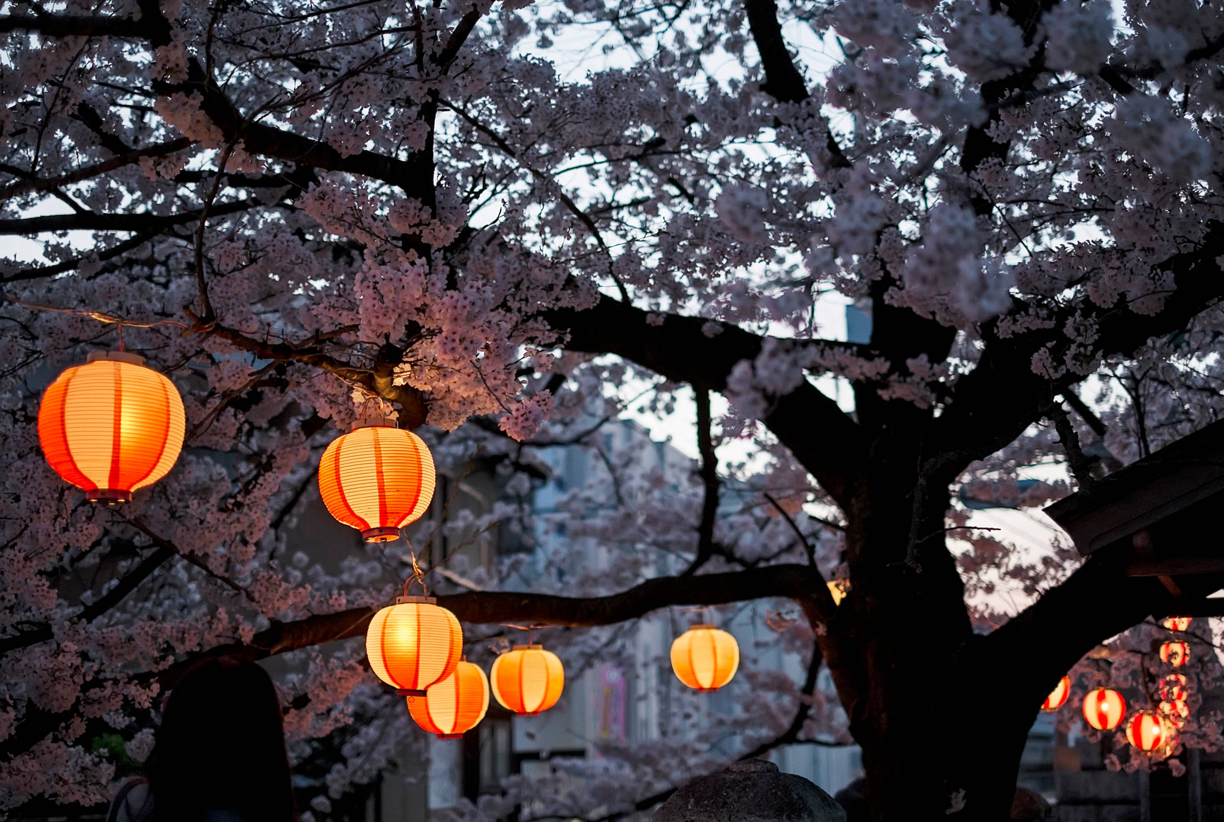 Chinese stimulus | Pictet Asset Management Greece