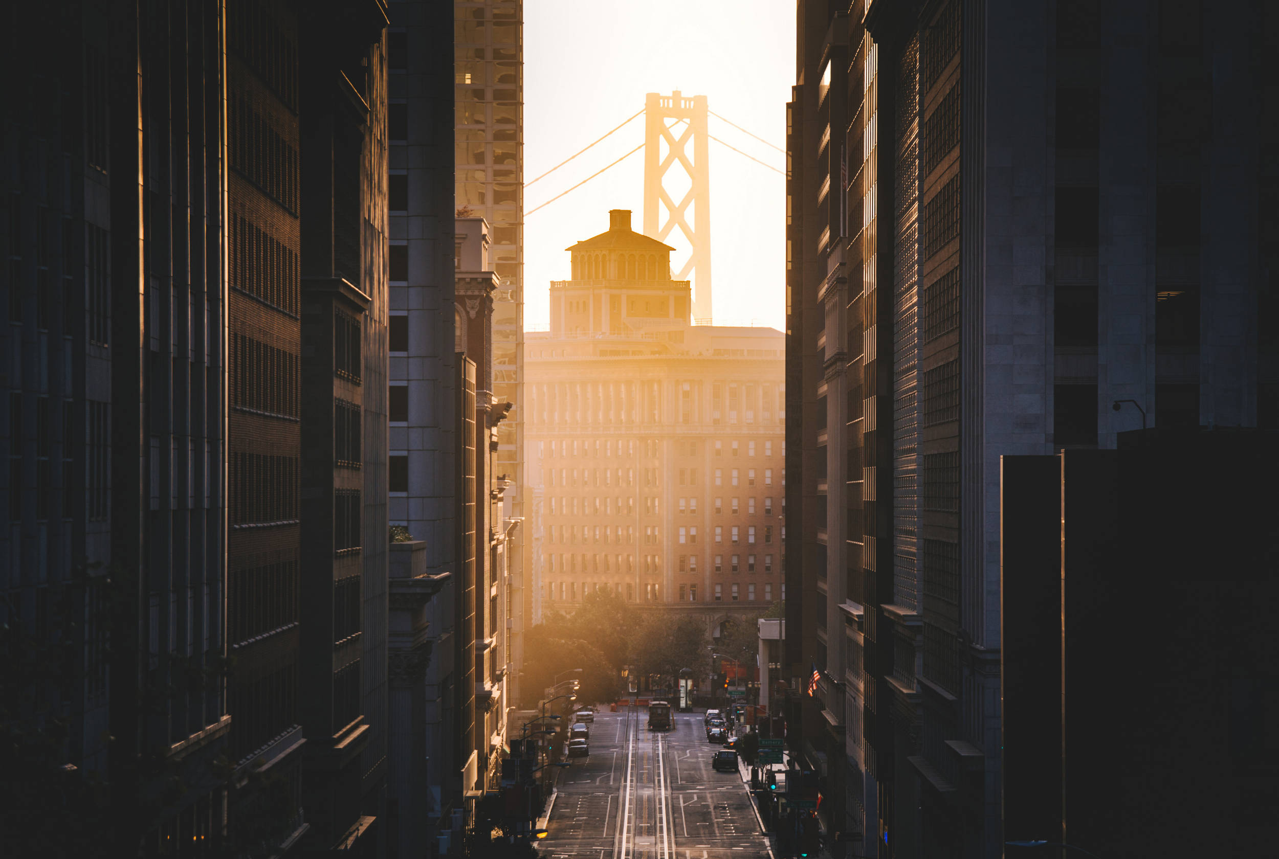 Outlook for the US dollar | Pictet Asset Management United States