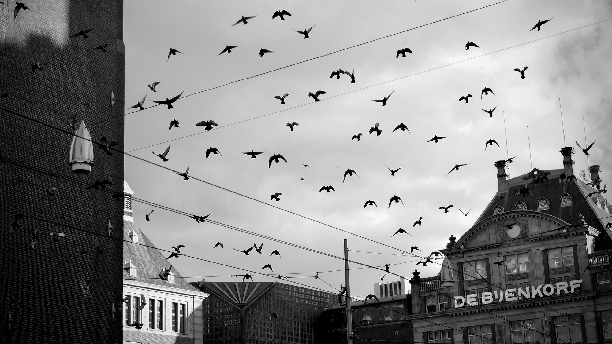 Pictet Asset Management Japan | Private Investors