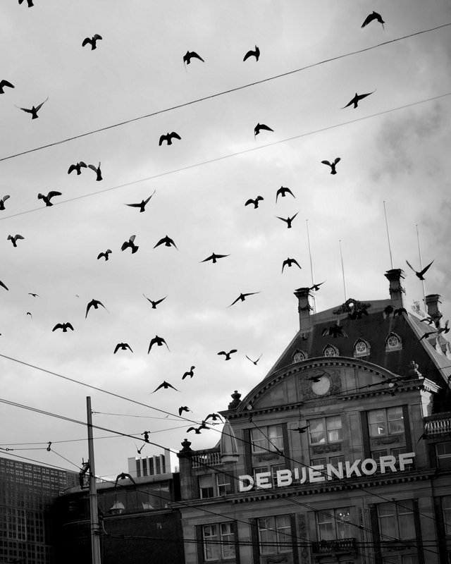 Pictet Asset Management Deutschland | Fonds, Expertise und Einblicke ...