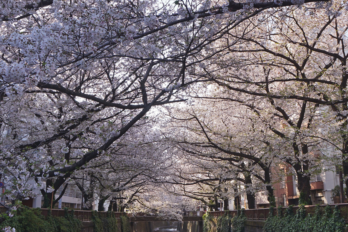 Private equity co-investment | Pictet Asset Management