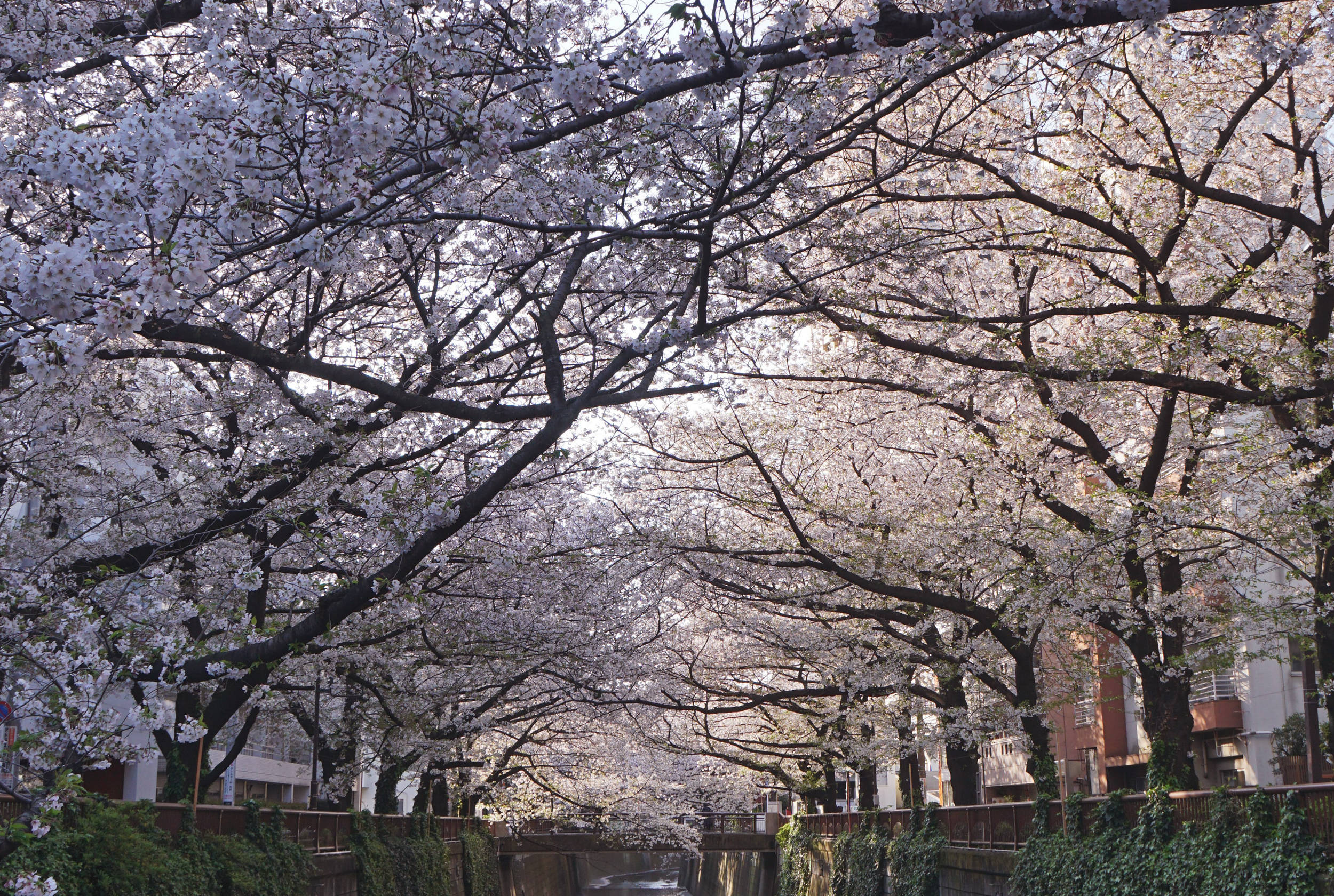 Private equity co-investment | Pictet Asset Management United Kingdom