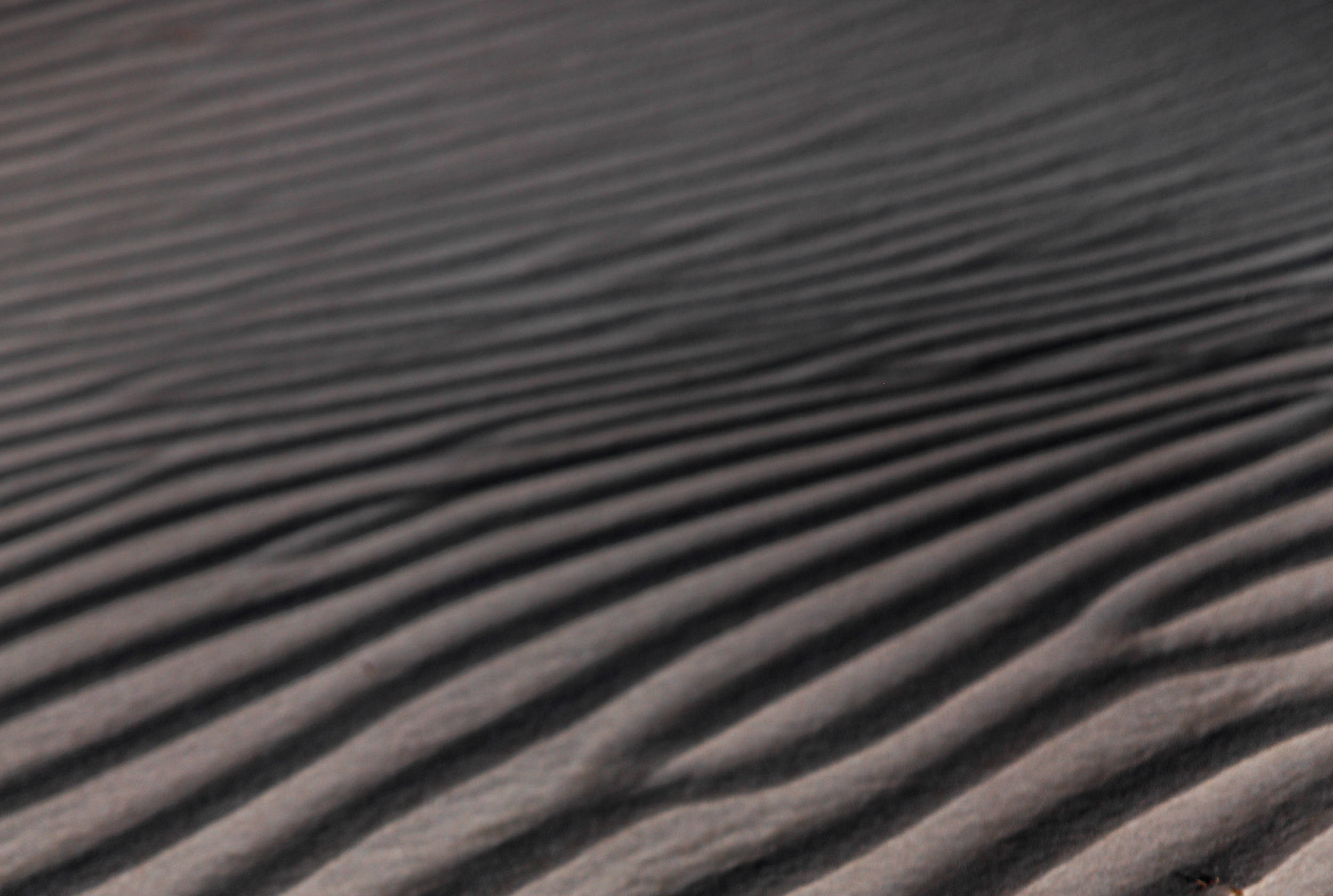 Private assets for dynamic portfolios | Pictet Asset Management United ...