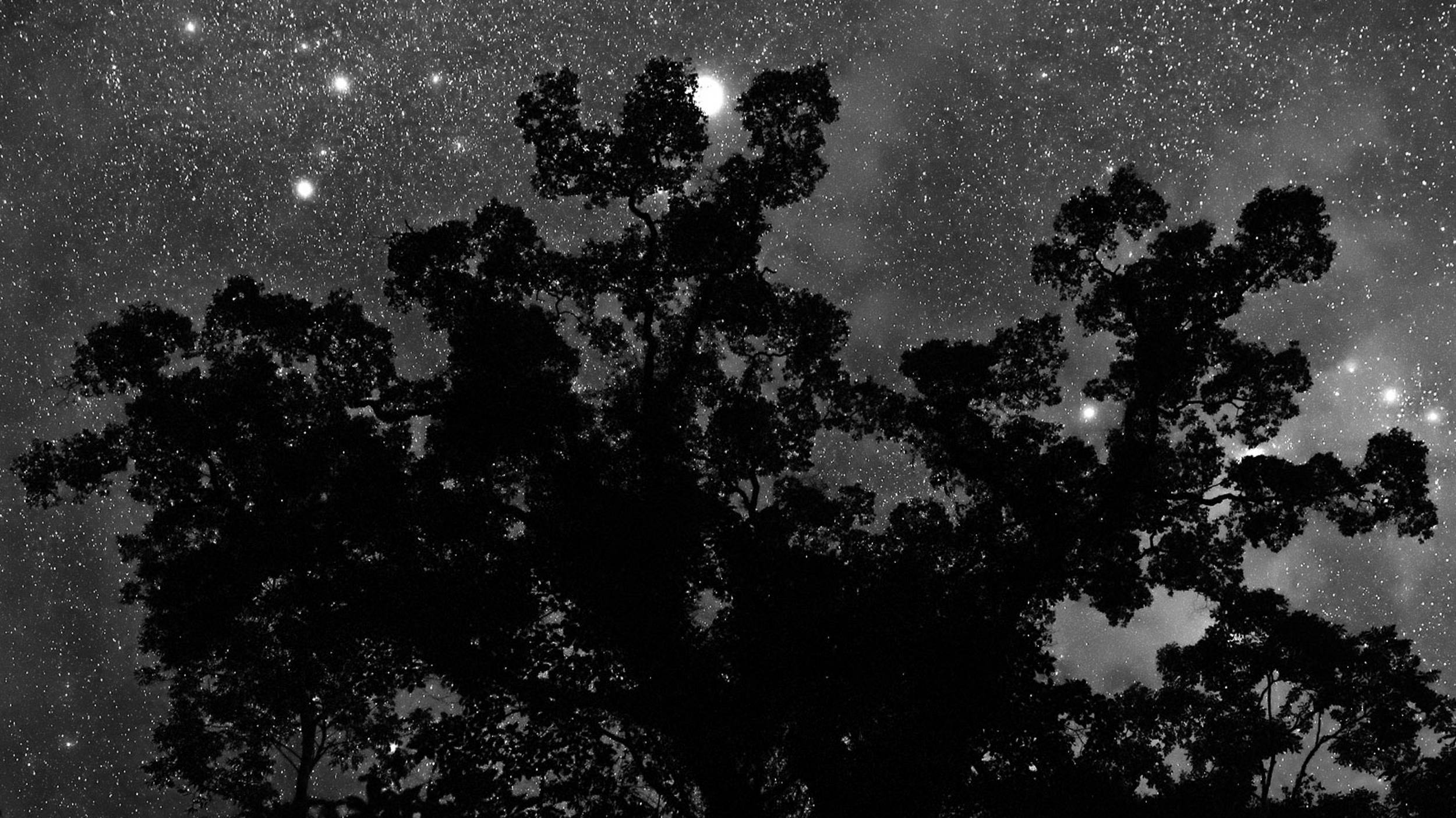 Mei Barometer, investment outlook | Pictet Asset Management