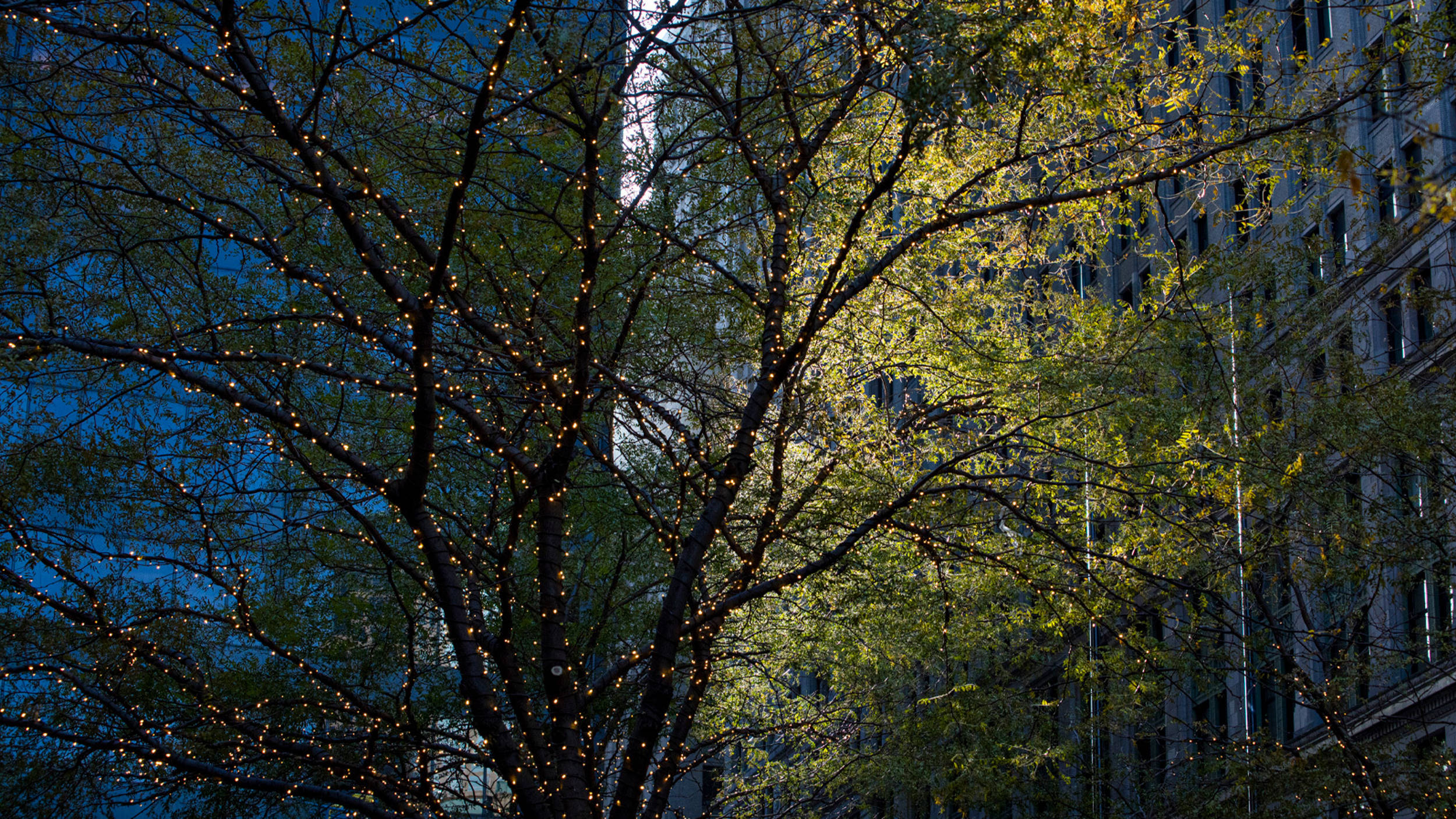 Investing to protect the planet | Pictet Asset Management