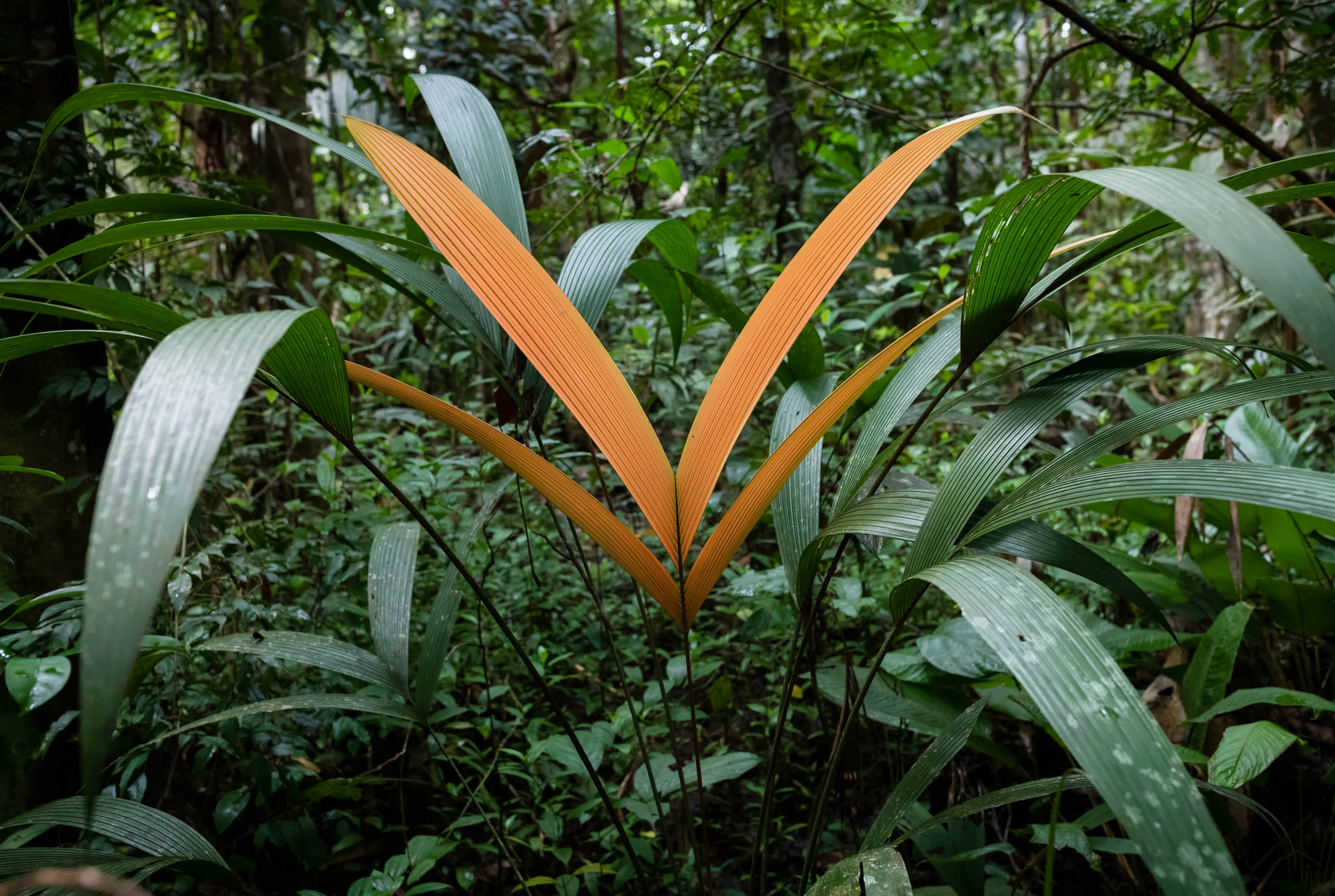 Thematic private equity investment - Environment | Pictet Asset ...