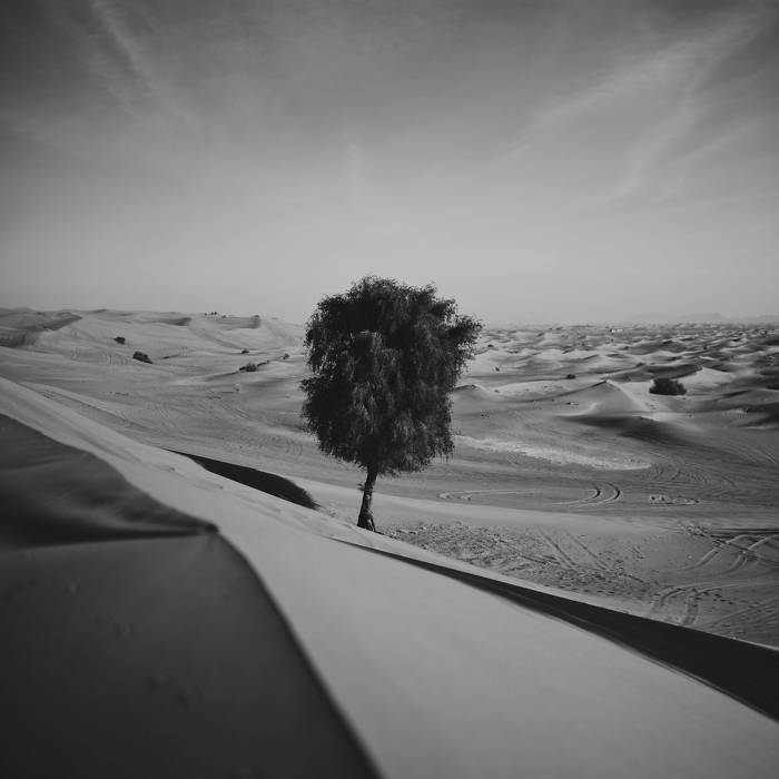 Pictet - Global Environmental Opportunities | LU0503631987 | Pictet ...
