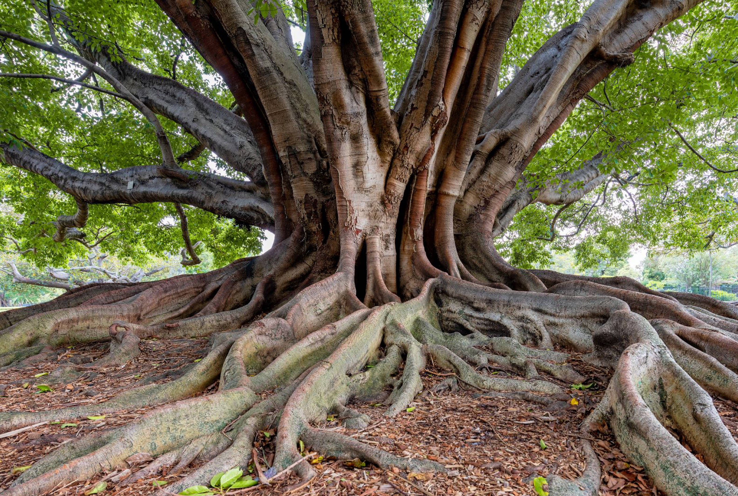 Diversification benefits of thematic equities | Pictet Asset Management ...