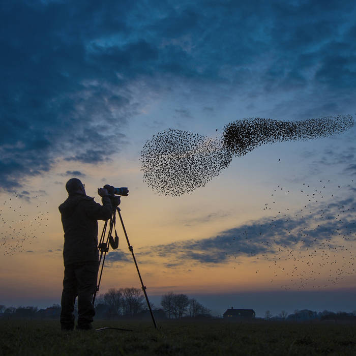 Pictet Asset Management Italia | Consulenti Finanziari | Pictet Asset ...