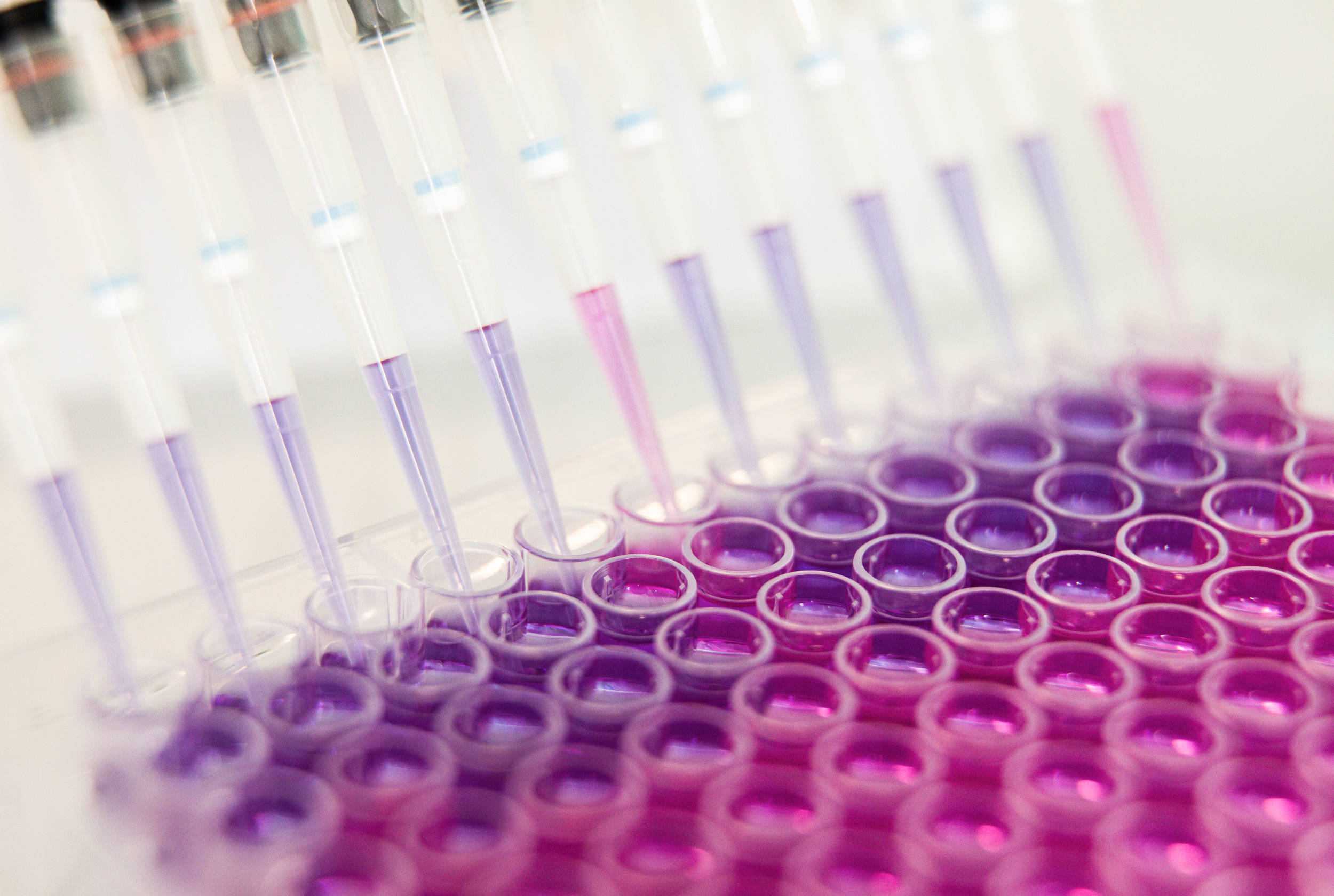 La stratégie Biotech fête ses 30 ans | Pictet Asset Management Canada