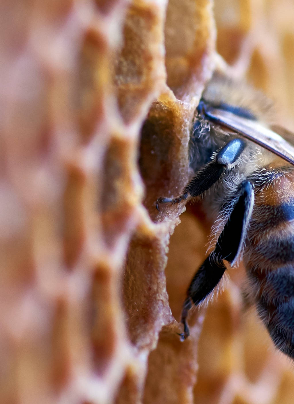 Analysing corporate ESG ratings | Pictet Asset Management Greece